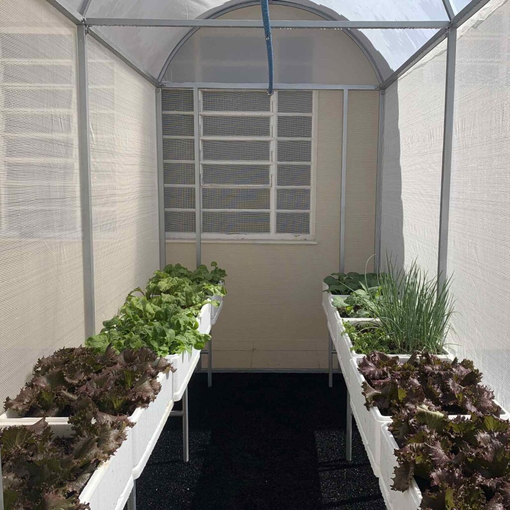 Mini Estufas - Tropical Estufas Agrícolas